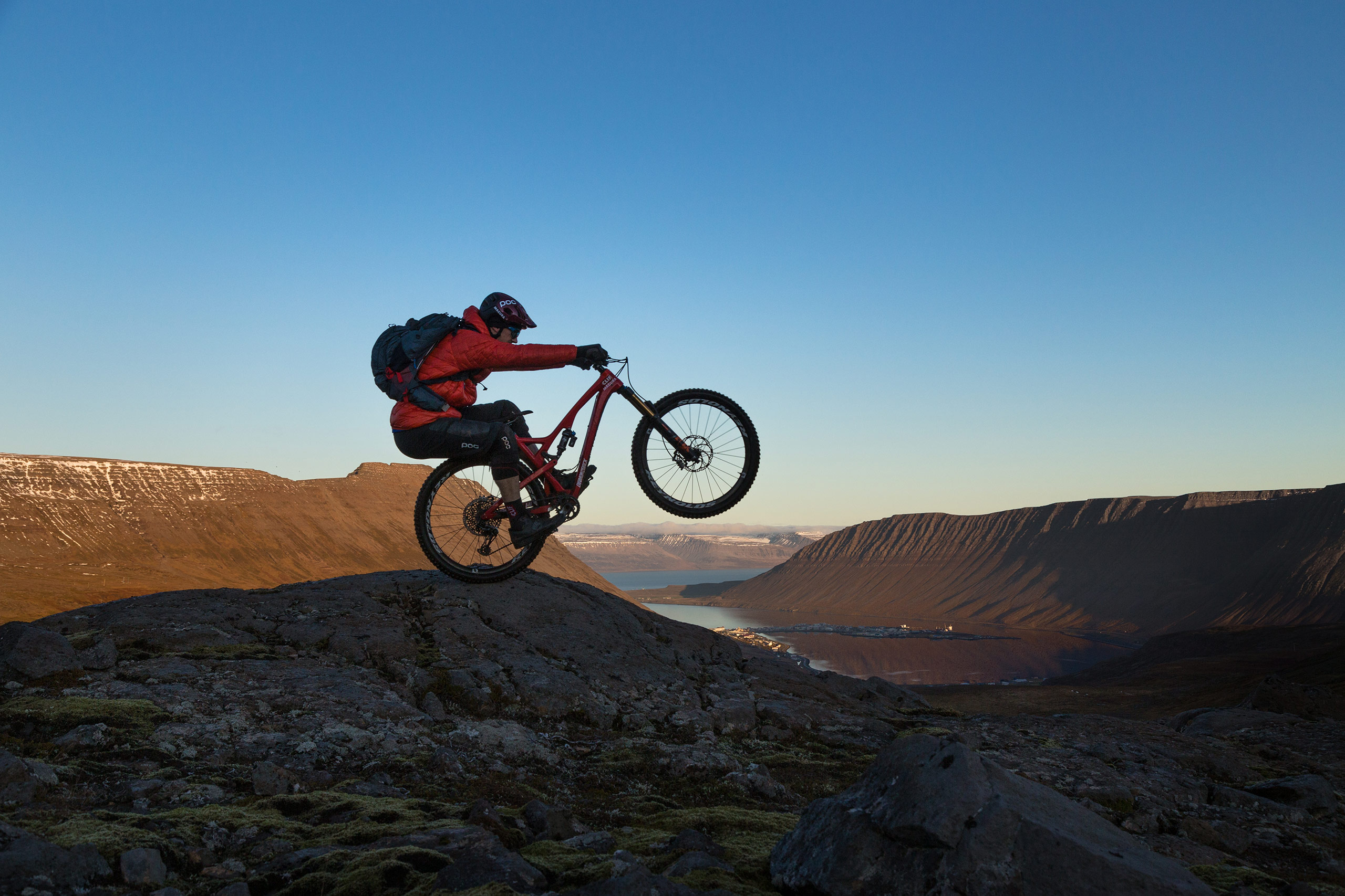 Accell Group - The Premier Cycle Group - Accell Group,Accell,Koga ...